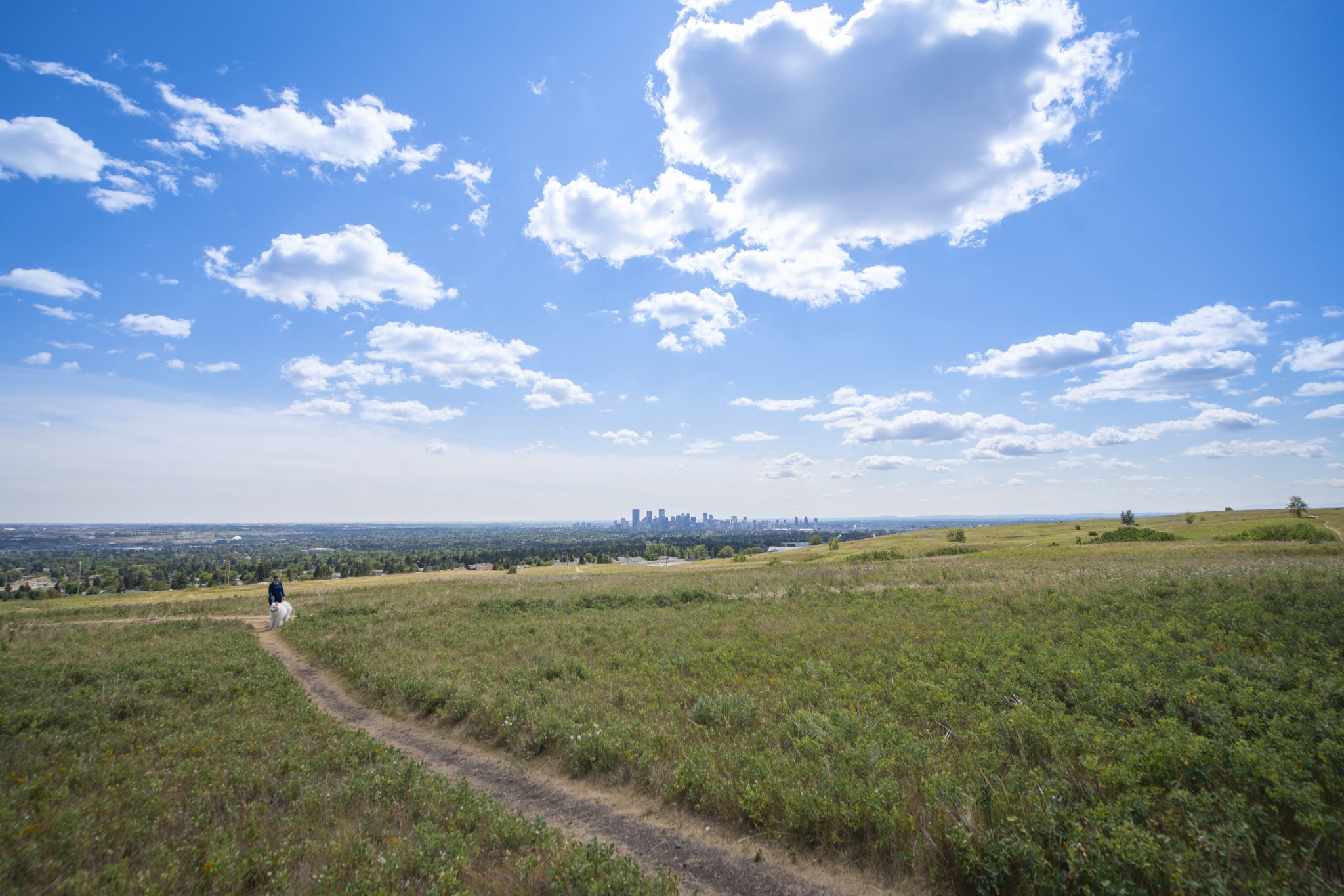 Homes for Sale in Glacier Ridge Calgary | Morrison Homes