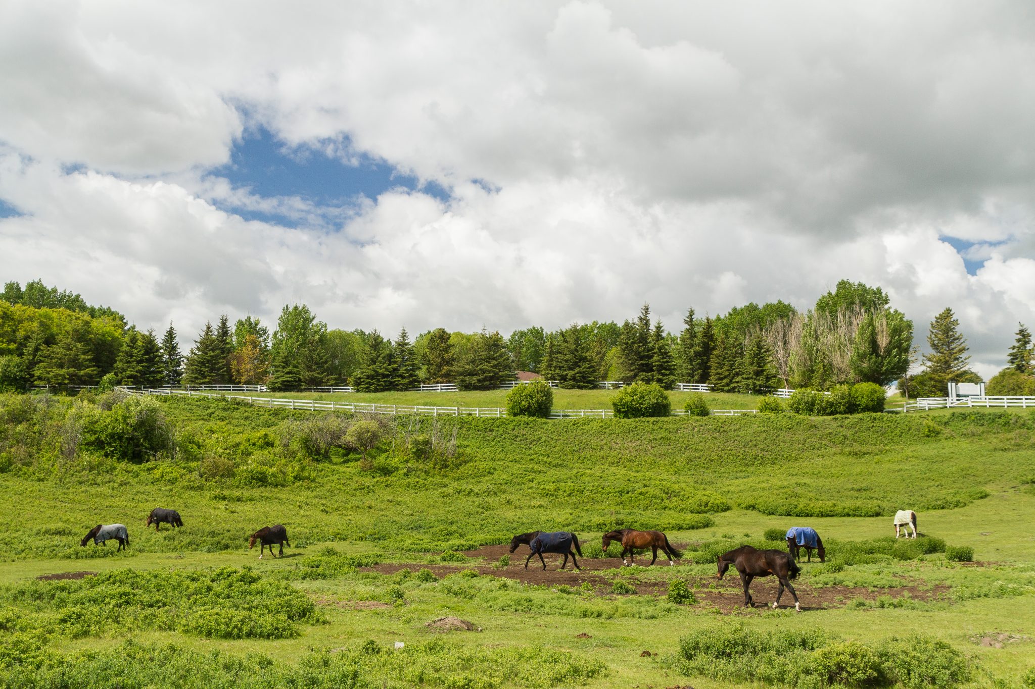 New Homes in Legacy Calgary | Built by Morrison Homes
